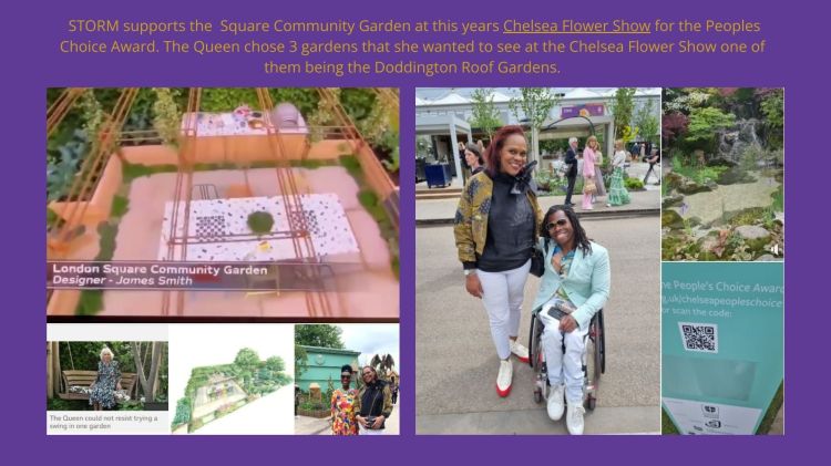Gallery – STORM Family Centre